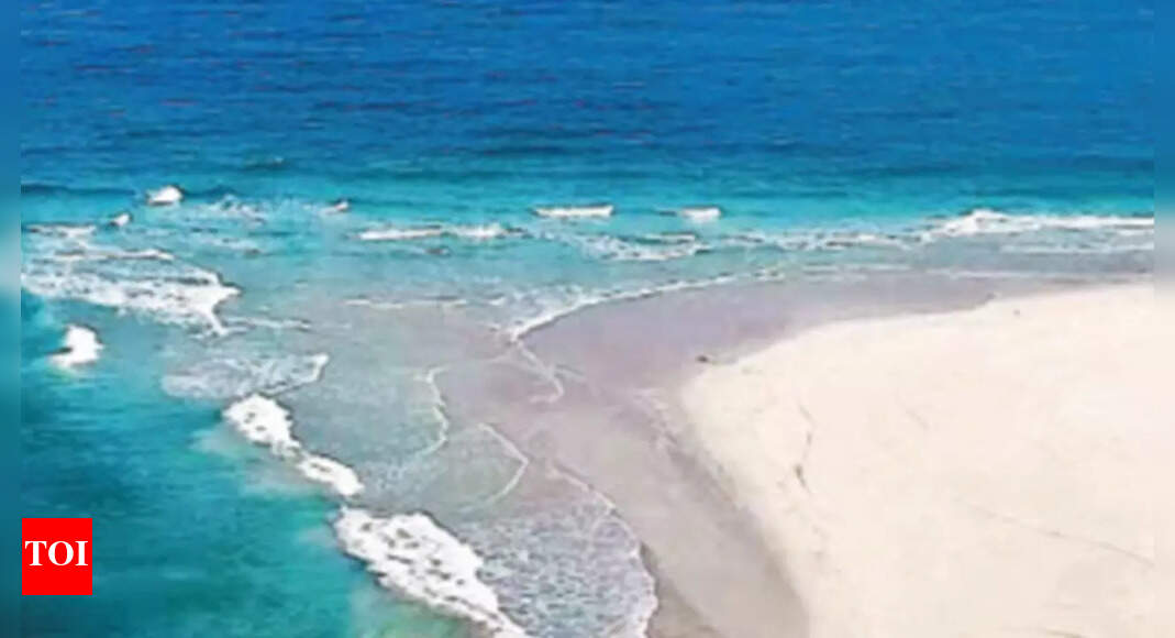 Pirotan Island: Blue Flag Tag For Pirotan Island? | Ahmedabad News ...