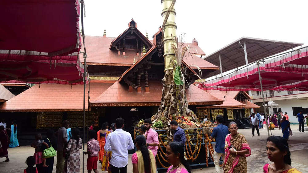 Watermelons cultivated for annual festival of Sri Rajarajeshwari temple ...