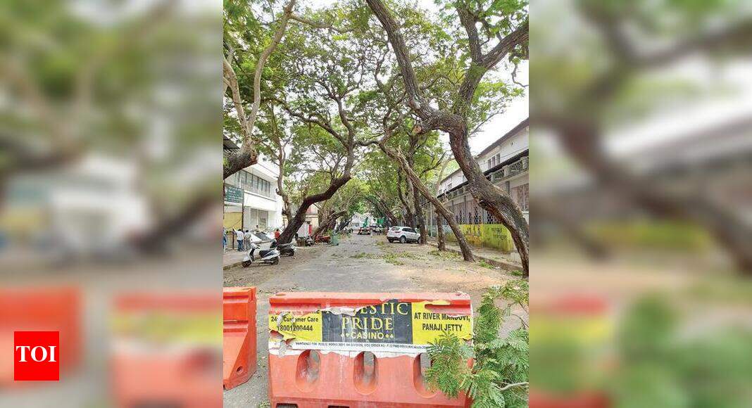 Ahead of monsoon, CCP begins tree-trimming work in capital | Goa News - Times of India