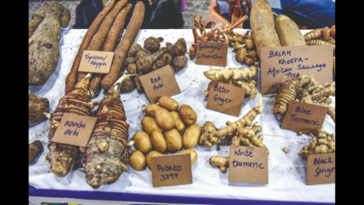 Bibijan: Bringing Back Nutritious Tubers To The Table | Chennai News ...
