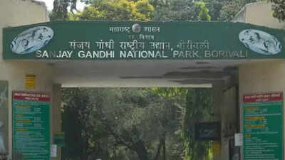 Black Leopard, White Lion In Sgnp ₹400cr Revamp Plan | Mumbai News ...