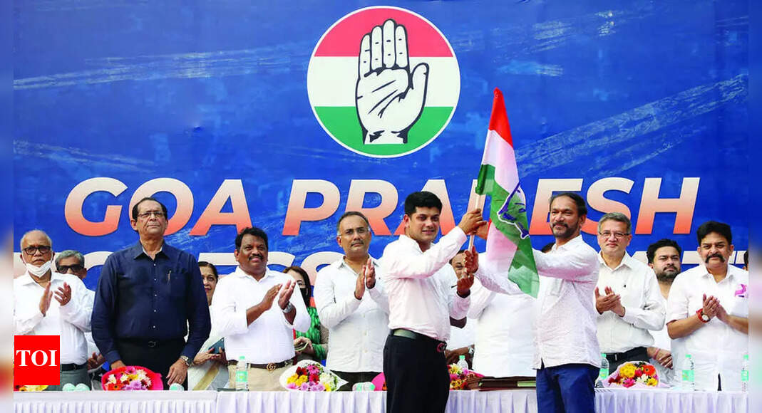 Congress: New Goa Congress president for ‘shadow cabinet’ to keep govt ...