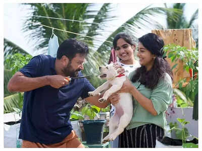 Makal | Malayalam Movie News - Times of India