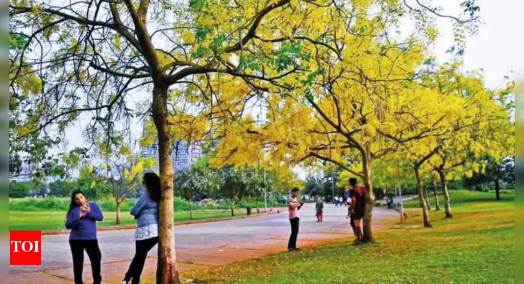 Mumbai is tree city of the world | Mumbai News - Times of India