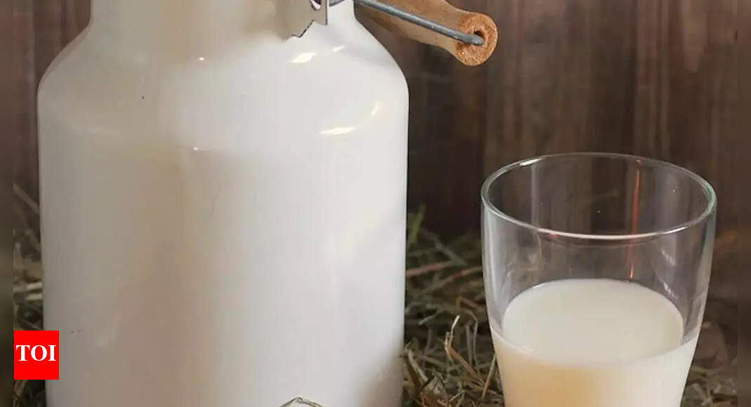 Goa Dairy plans to source cow milk from Karnataka | Goa News - Times of ...