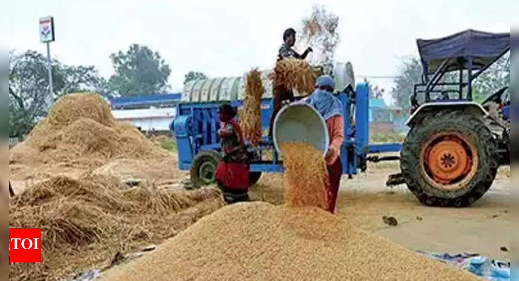 Telangana: Paddy Purchase In State From Today | Hyderabad News - Times ...