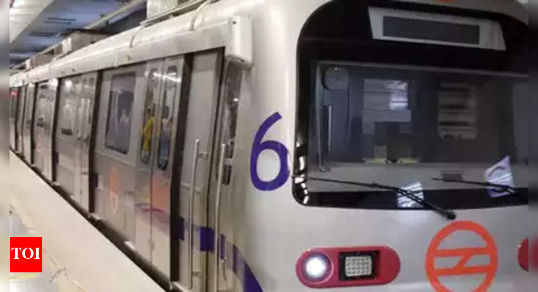 Delhi Metro operations to be curtailed on Blue Line section on Sunday ...