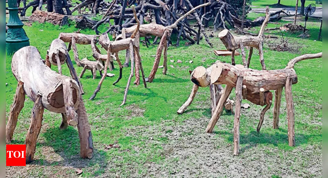 Artwork For Natural Museum Gives Life To Dead Victoria Trees | Kolkata ...