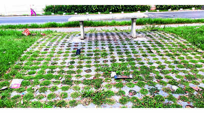 Panampilly Nagar: Panampilly Nagar Walkway Loses Sheen | Kochi News ...
