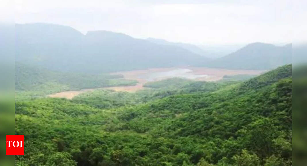 Weeks into summer, Goa’s reservoir levels at 55-60% | Goa News - Times ...