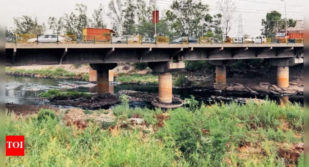 Shahdara: Delhi: Plan to turn Shahdara drain around in a year | Delhi ...