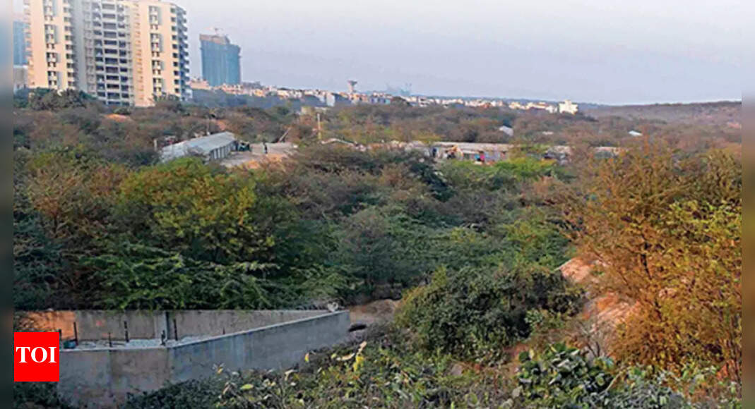 Ghata: City’s First ‘nagar Van’ To Come Up At Ghata | Gurgaon News ...