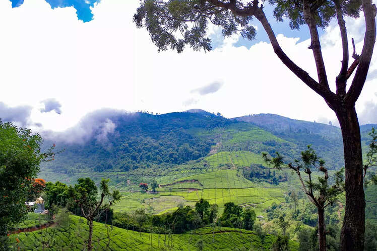 South Indian hill towns you can run off to this summer | Times of India ...