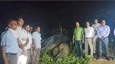 Raipur: Savage Elephant That Killed Five Found Dead | Raipur News ...