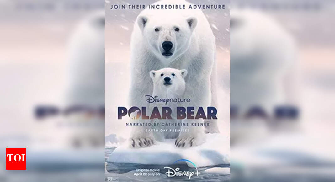 Polar Bear Movie Review: Survivalism doesn’t elude animals