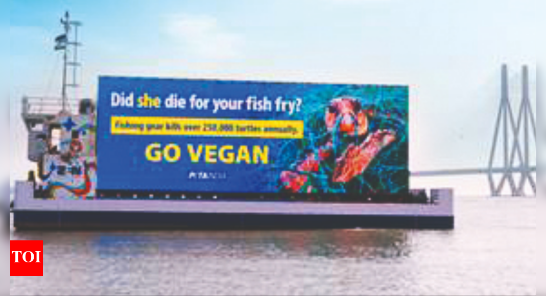 Earth Day: Floating Billboards Highlight Plight Of Turtles On Earth Day ...
