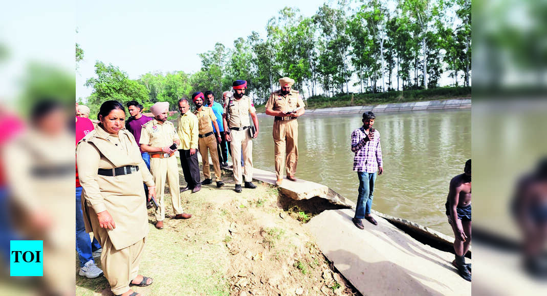 Dehlon: Two Class Ix Students Drown In Dehlon Canal | Ludhiana News ...