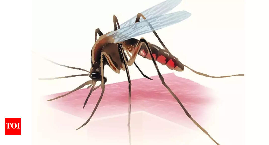 World Malaria Day: Malaria claims only one life in last five years in ...