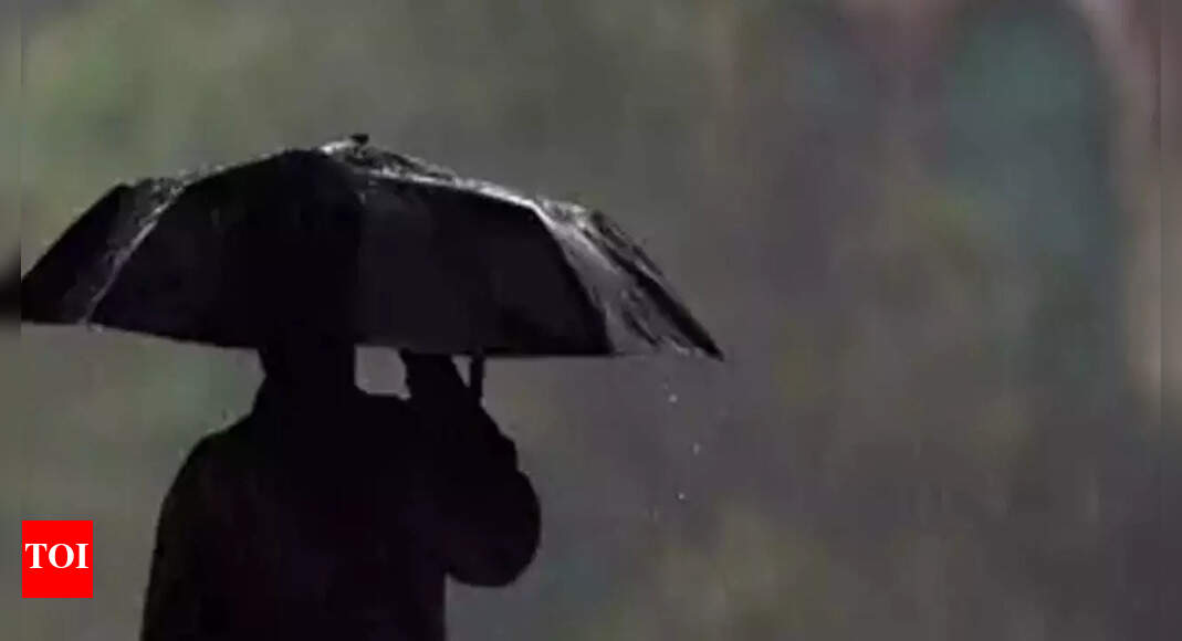 Kolhapur: South Maharashtra And Konkan Region Receive Rainfall ...