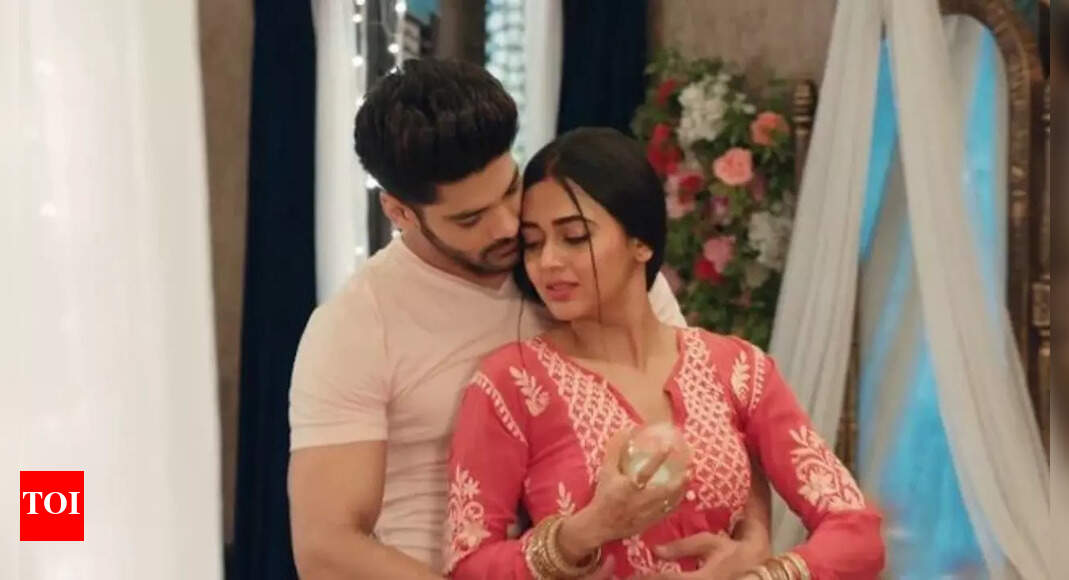 Naagin 6 update, April 24: Pratha and Rishabh realise their love for ...