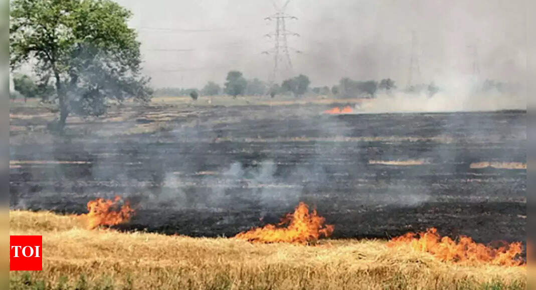 Indore: Air Pollution Rises As Stubble Burning Continues In Indore ...