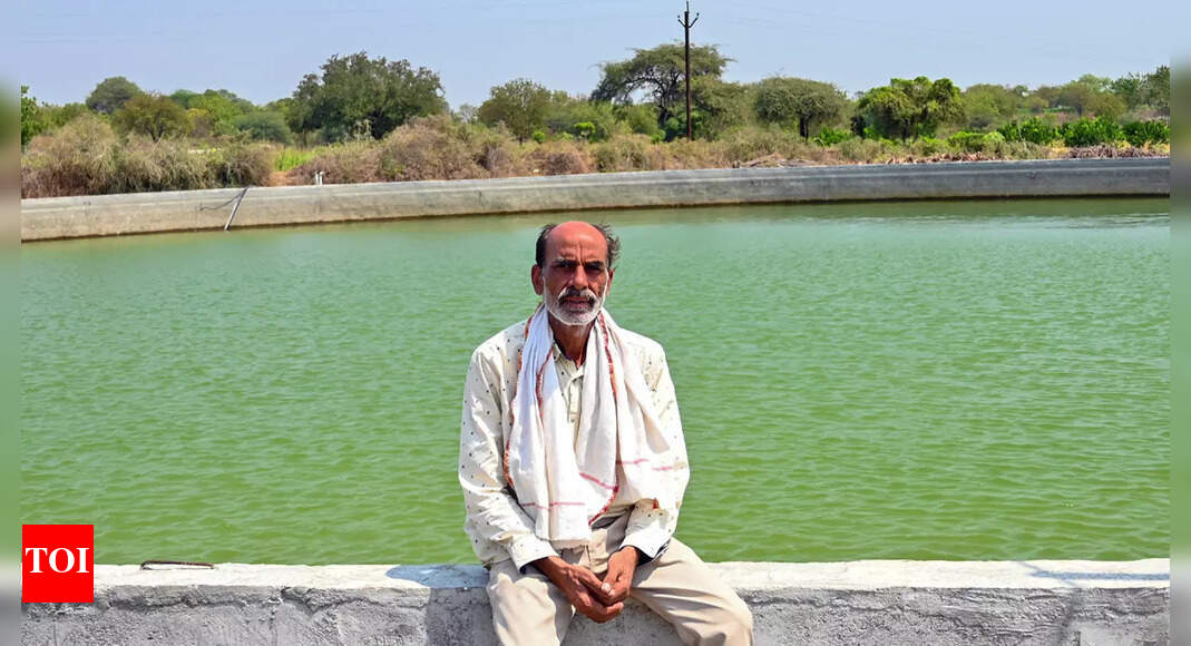 How a Beed man constructed a giant water well | India News - Times of India