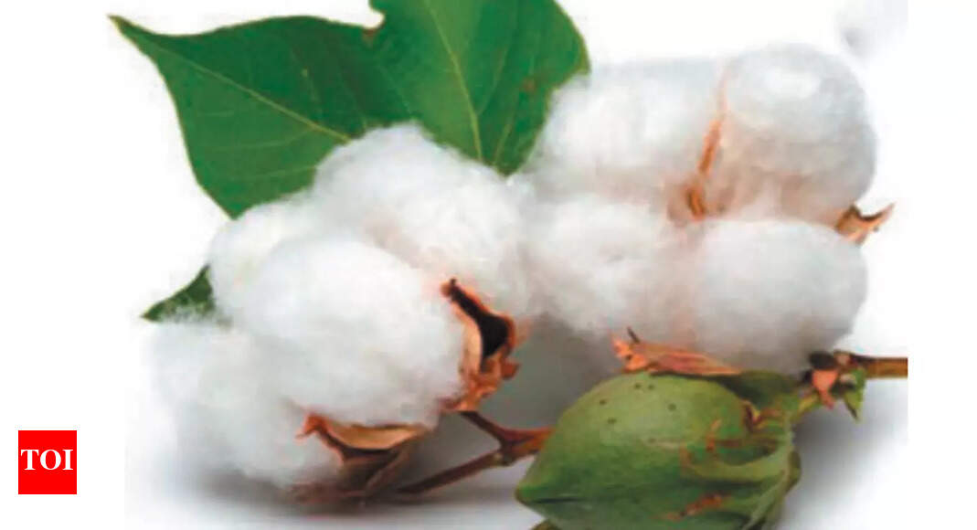 State Prepares Crop Plan; To Promote Cotton, Red Gram | Hyderabad News ...