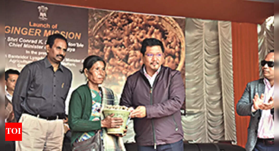 Conrad K Sangma: Conrad Launches ‘ginger Mission’ In Shillong To ...