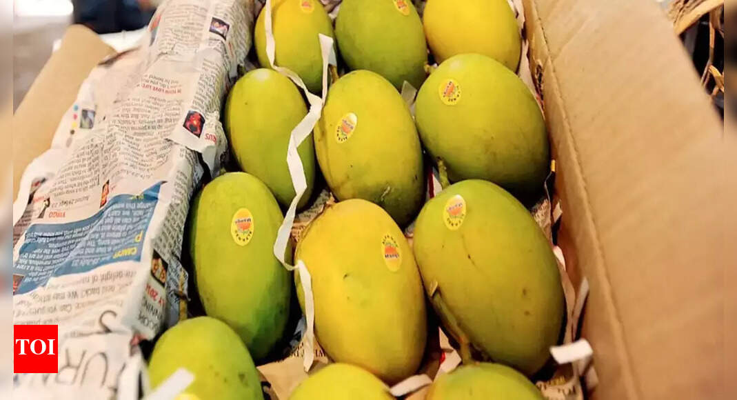 Mla: Govt Apathy Reason For Low Mango Produce | Thane News - Times of India