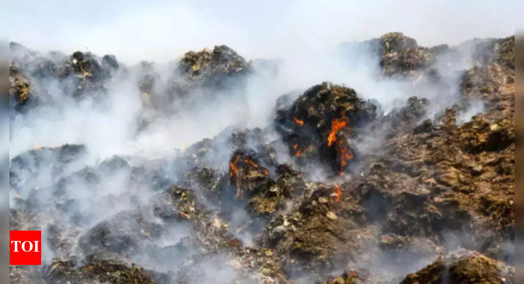 Firefighting operations continue at Bhalswa landfill site in Delhi ...