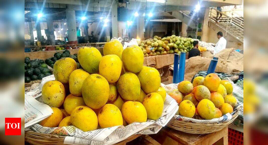 Spotlight on king of fruits on May 8 | Goa News - Times of India