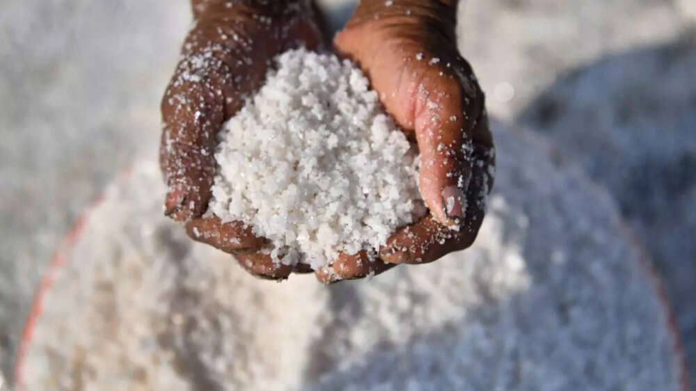 In photos: Salt pans of Vasai | The Times of India