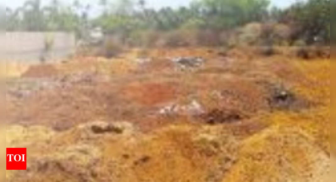Goa: Regularisation after fines will boost land violations, say ...