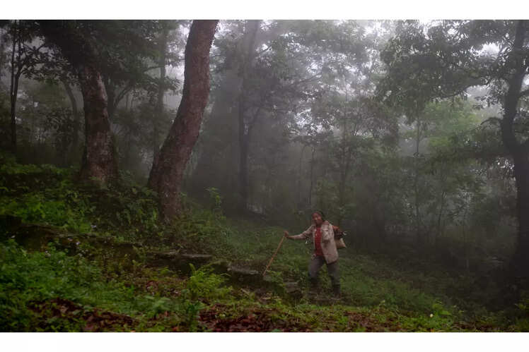 Irresistible reasons to explore Manipur | Times of India Travel