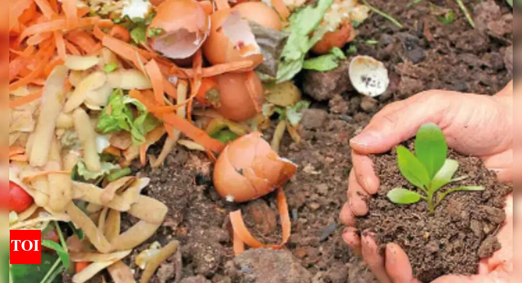 Can pee help feed the world? - Times of India Can pee help feed the world? - Times of India