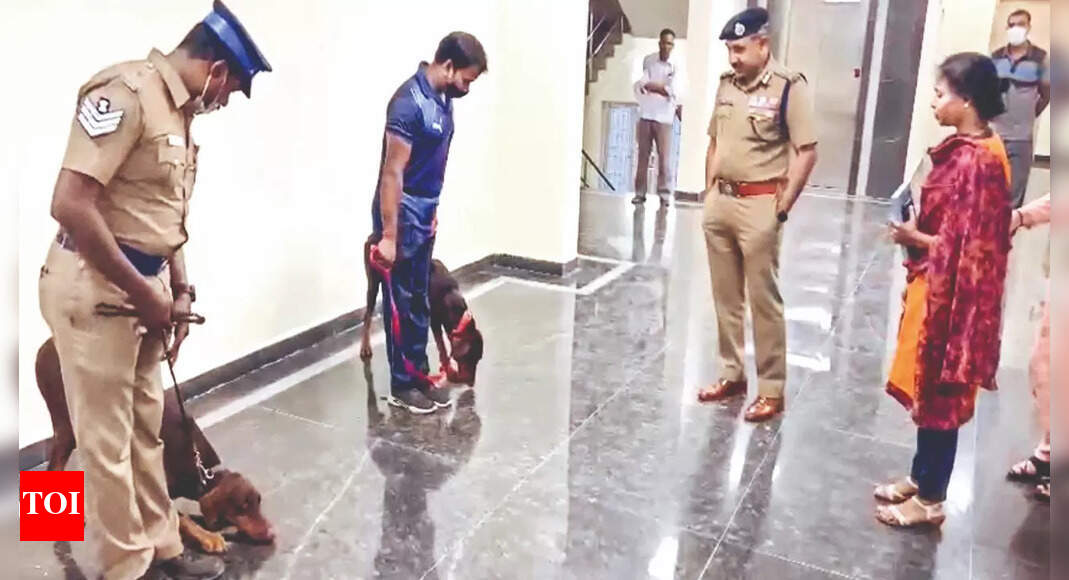 Avadi: Avadi Police’s Dog Squad Gets 2 New Members | Chennai News ...