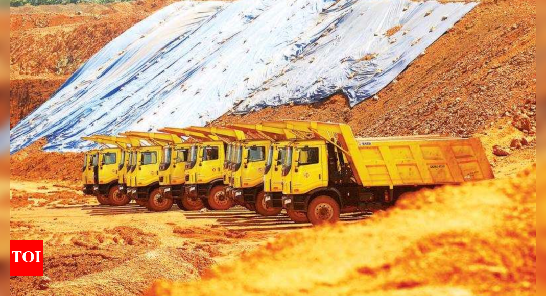 Goa govt initiates process to take over 88 mining leases | Goa News ...