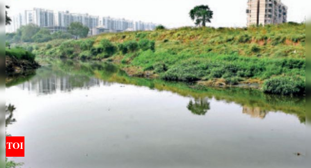 Vishwamitri: Gujarat Pollution Control Board seeks Vishwamitri ...
