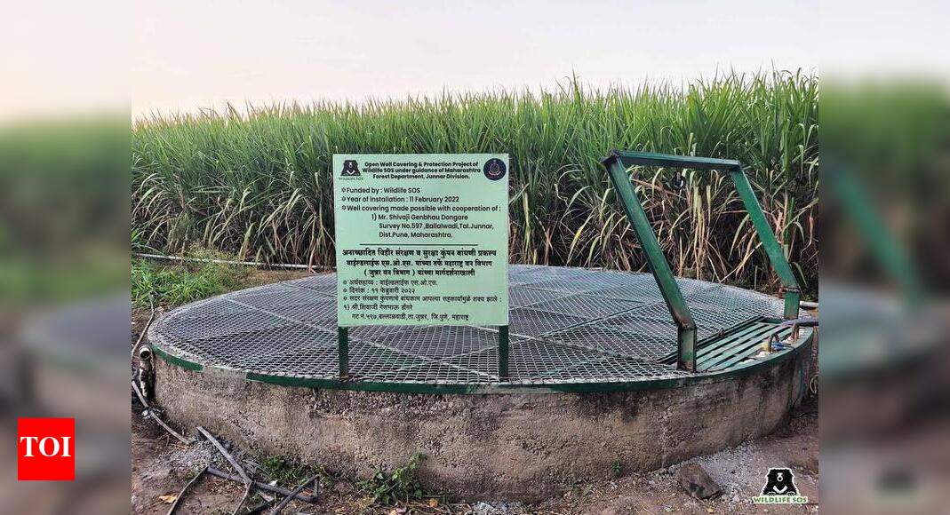 Wildlife SOS to cover open wells in state to protect animals | Nagpur ...