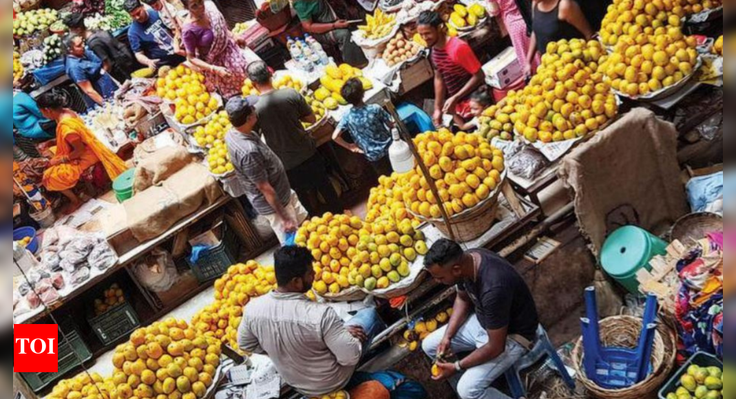 Goa: Mancurad mango prices drop drastically with early harvesting | Goa ...