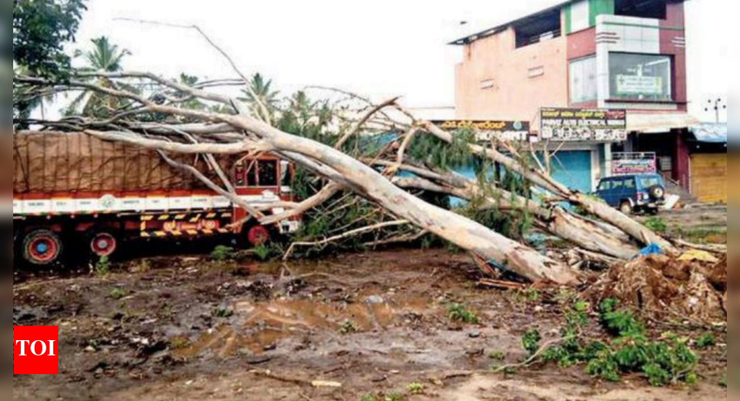 Pre-monsoon Rain In Old Mysore Region Cheers Farmers, Offers Respite ...
