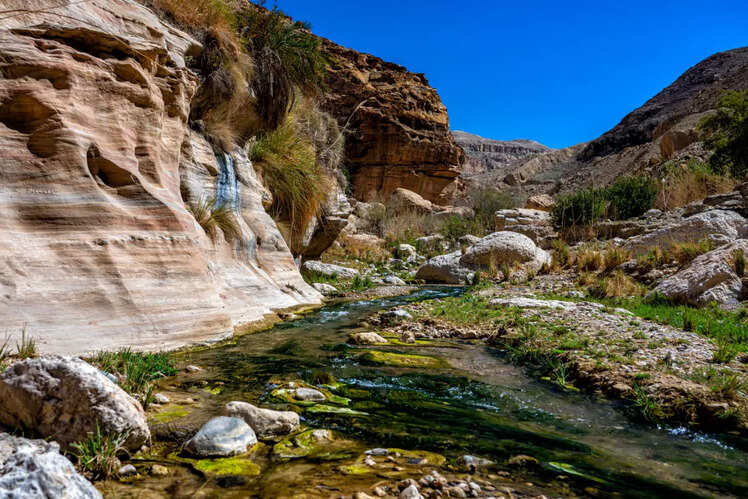 A quick guide to Jordan’s best | Times of India Travel