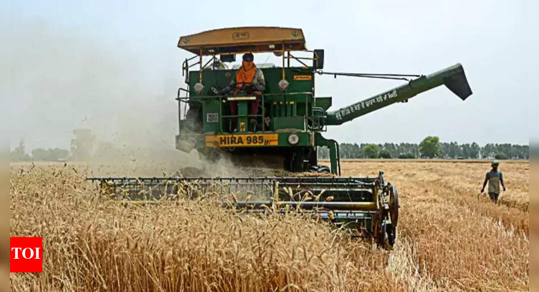 Despite fall in wheat crop, India can still feed the world | India News ...