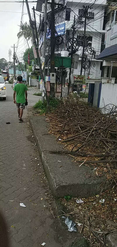 Cuttings of tree branches in footpath. - Times of India
