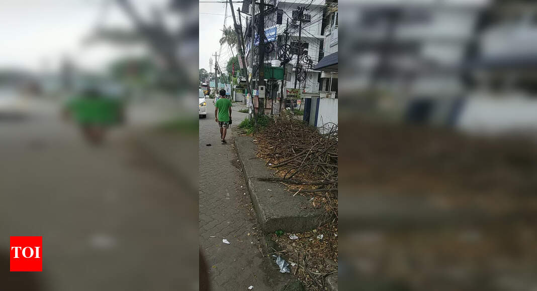 Cuttings of tree branches in footpath. - Times of India