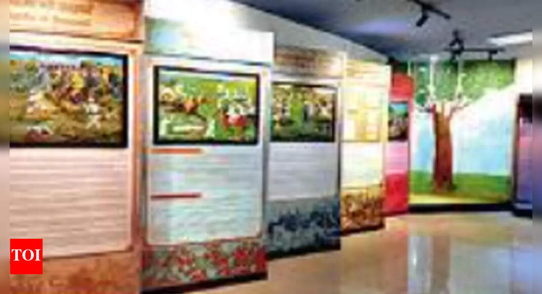 Museum Of 1857 Mutiny To Identify, Honour ‘lost’ Heroes | Meerut News ...