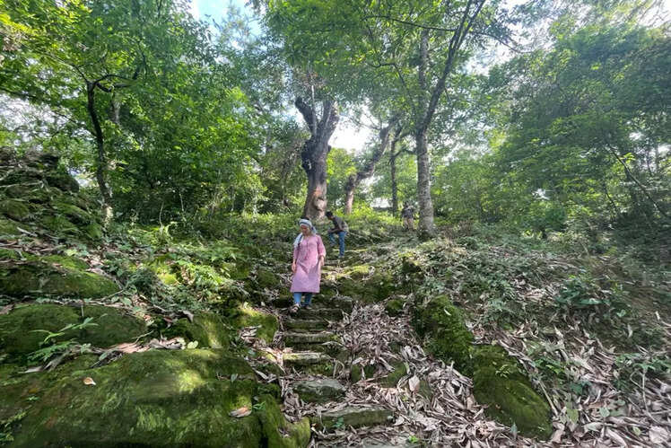 Indian forests perfect for forest therapy | Times of India Travel