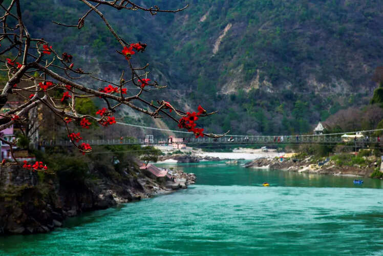 Exciting trips to enjoy in India under 5k! | Times of India Travel