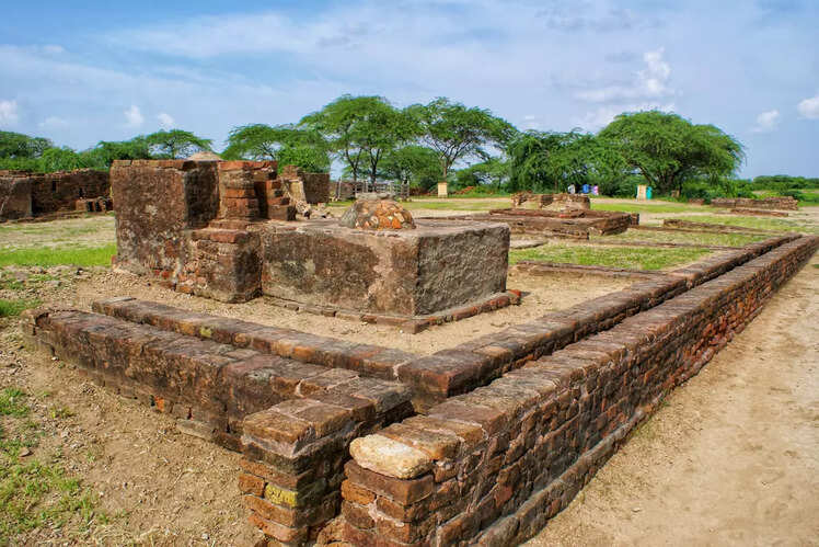 Unique experiences one can only have in Gujarat | Times of India Travel