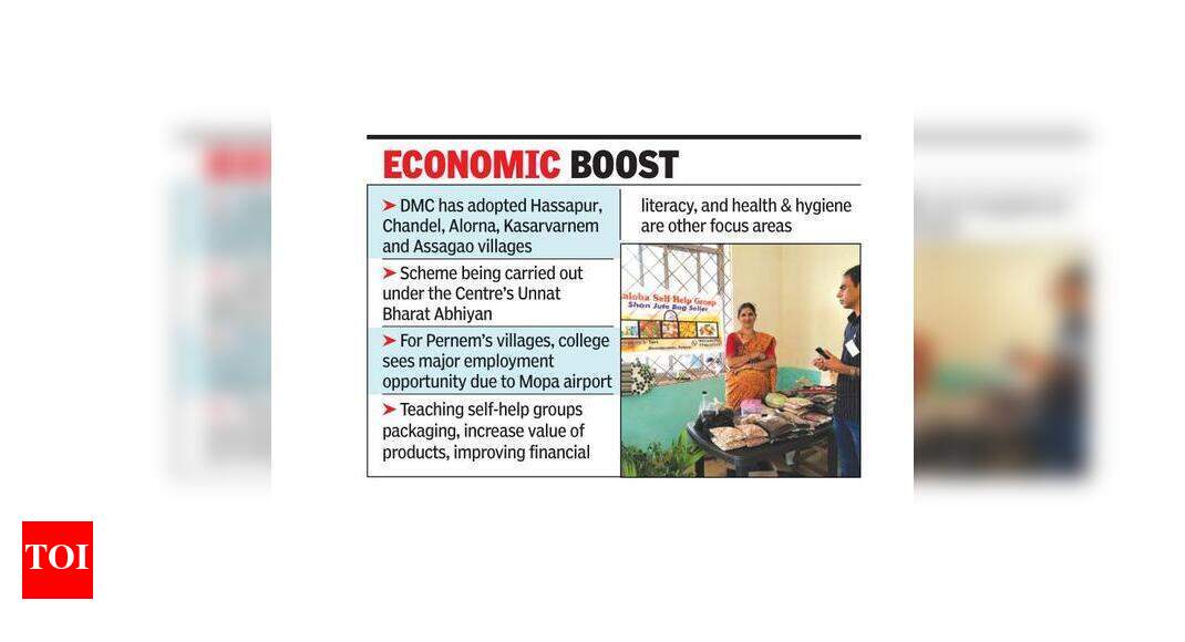 Goa: DMC college targets skill development for Pernem villagers | Goa ...